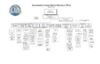 Org Chart – Sacramento County District Attorney's Office